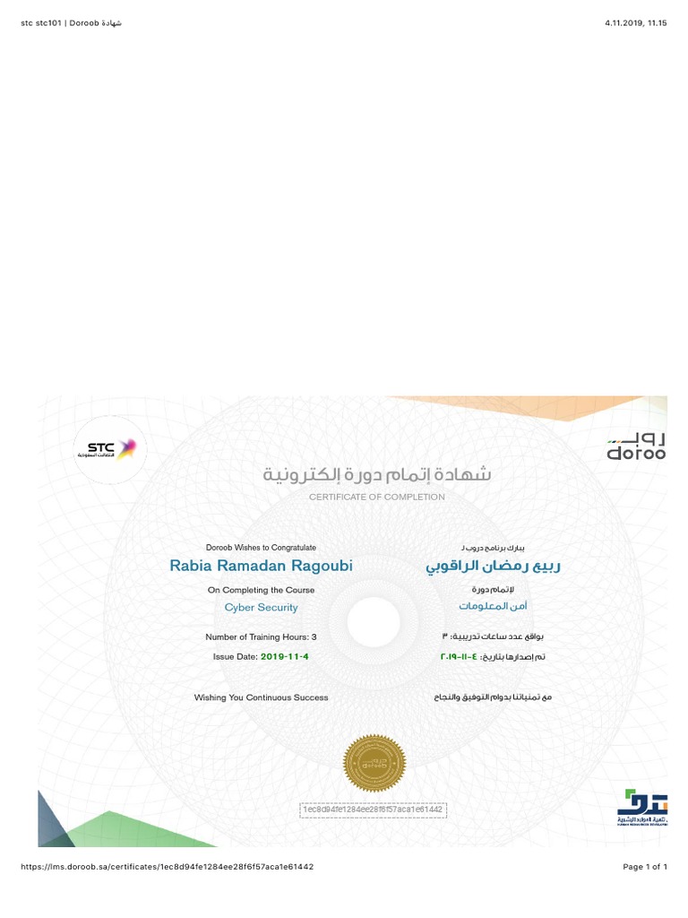 Cyber Security | PDF