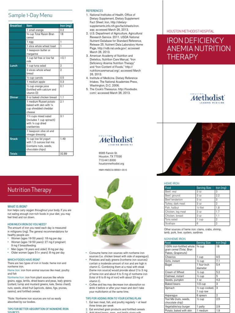Anemia Brochure | PDF | Vegetables | Salad