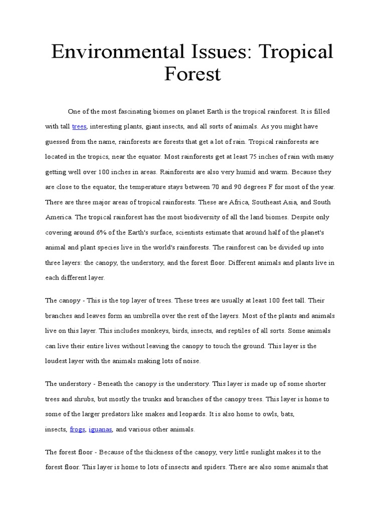 Environmental Issues: Tropical Forest: Trees | PDF | Rainforest | Habitat