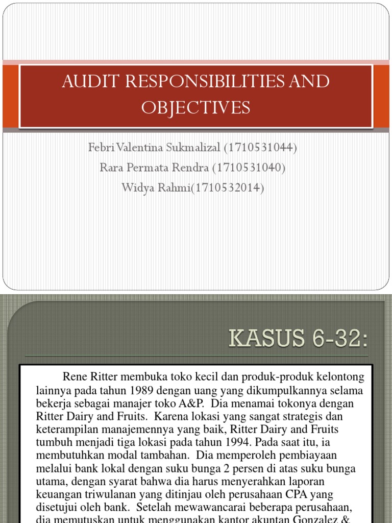 Audit Responsibility | PDF
