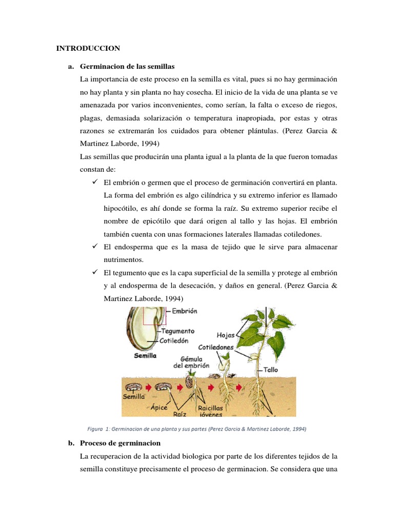 Introduccion Semillas Pdf Germinación Cereales