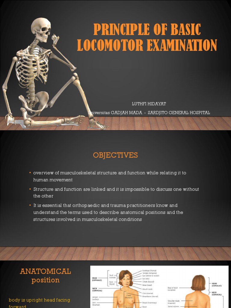 Principle of Basic Locomotor Examination: Luthfi Hidayat Universitas ...
