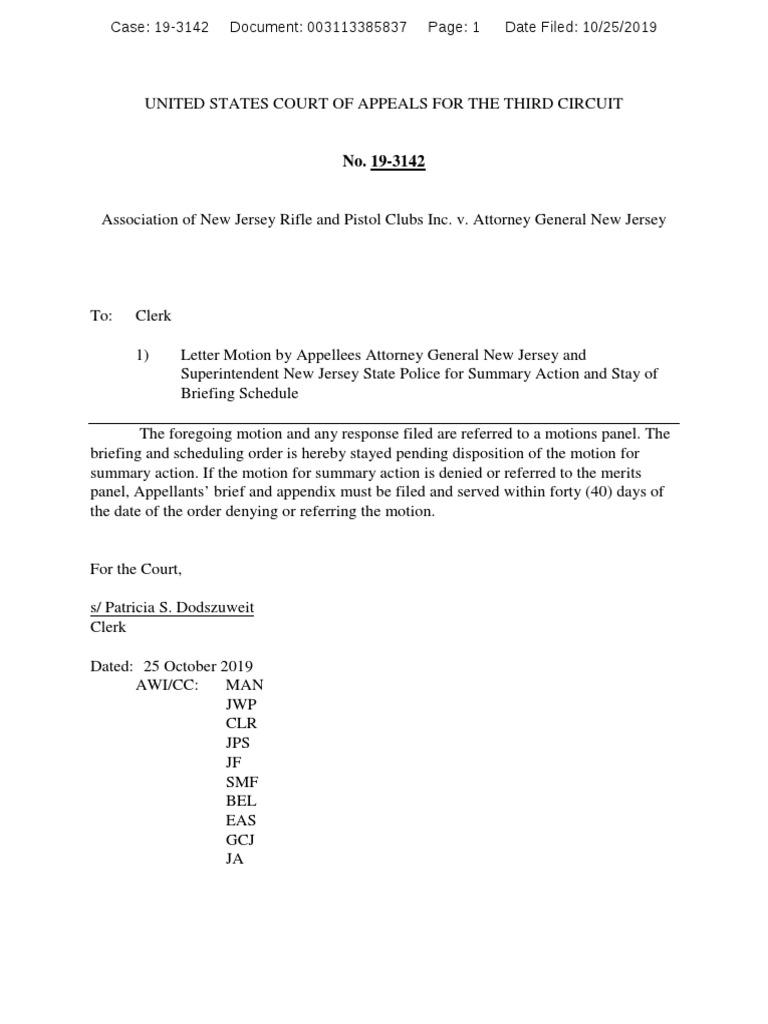 ANJRPC V Grewal Stay Order | PDF