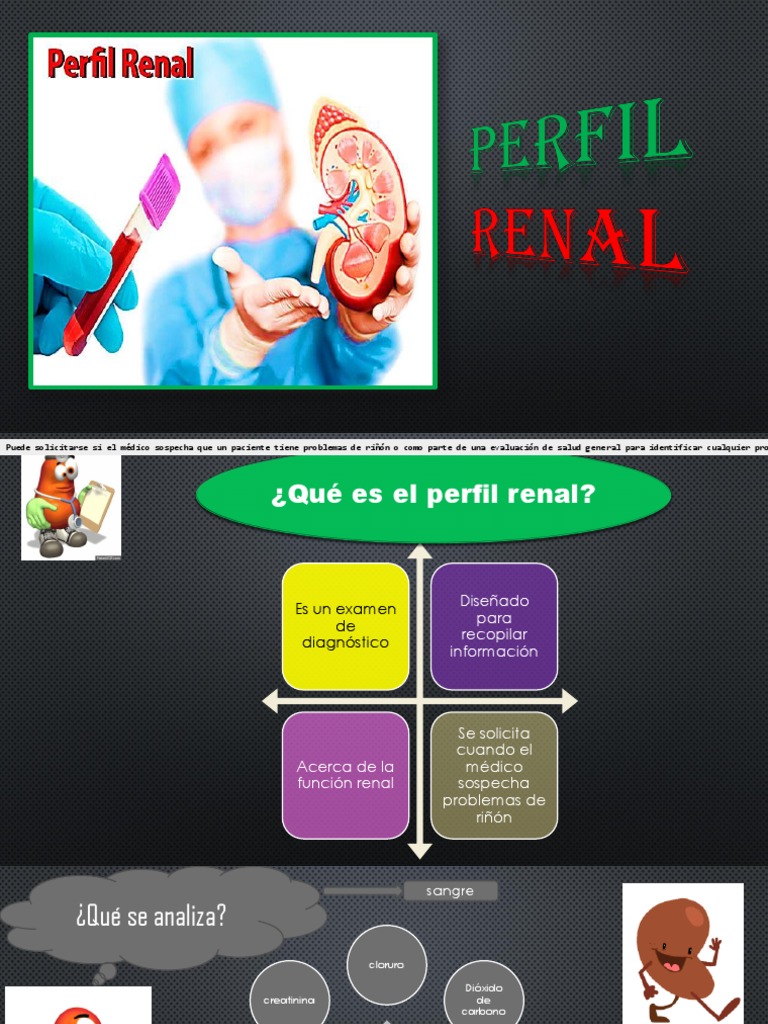 PERFIL RENAL Quimica Sanguinea | PDF | Creatinina | Riñón