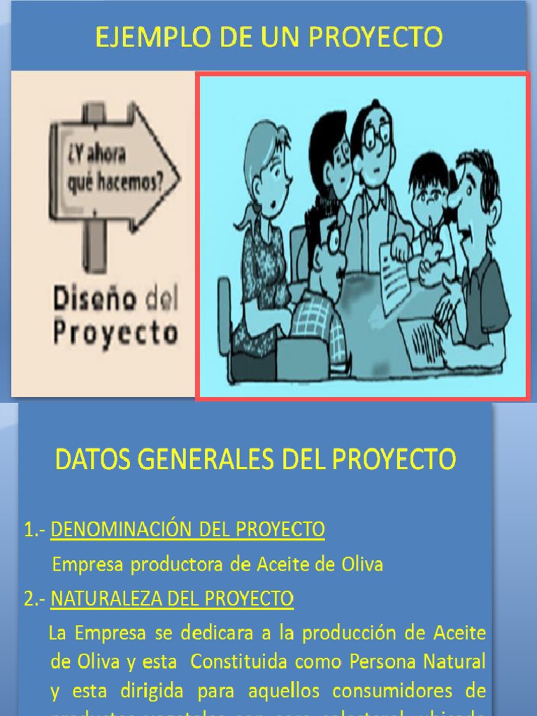 Ejemplo de Un Proyecto | PDF