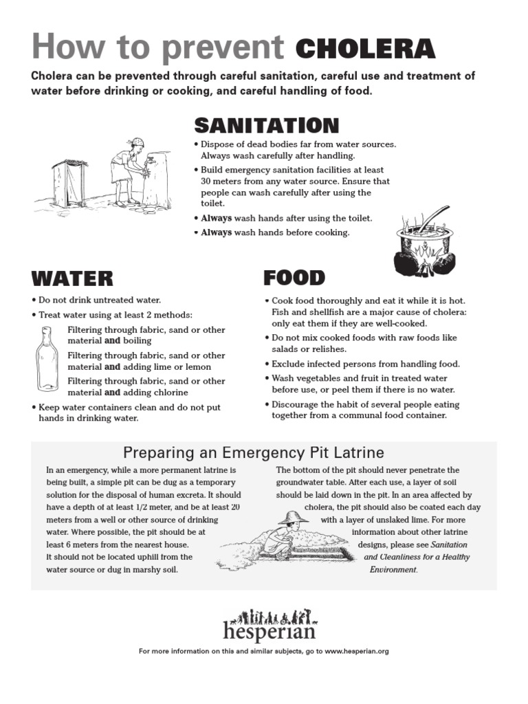 Cholera Prevention Fact Sheet | PDF | Cholera | Diarrhea
