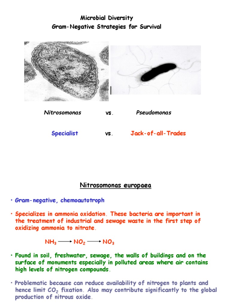 Comparing Specialization and Versatility in Microbial Strategies for ...