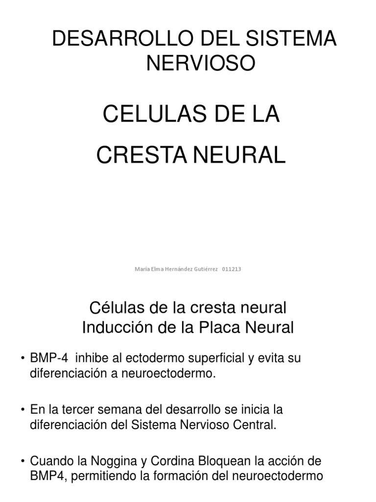 5 Cresta Neural 2013 | PDF | Anatomía | Sistema nervioso