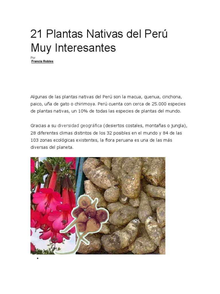 21 Plantas Nativas Del Perú Muy Interesantes | PDF | Perú | Plantas