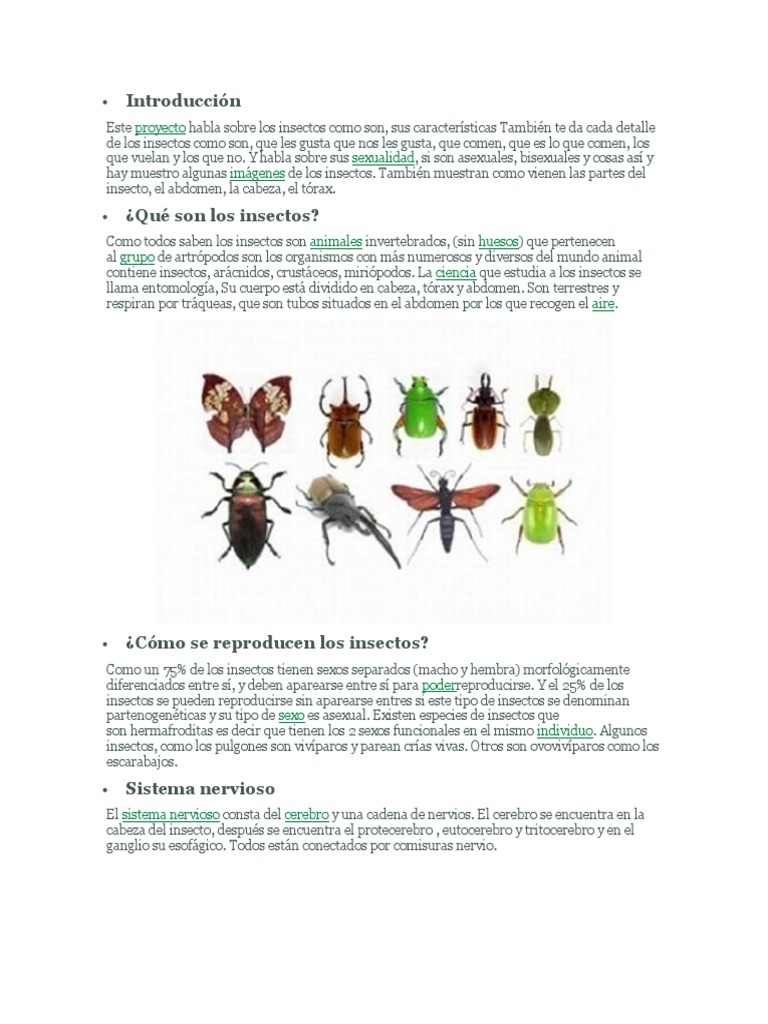 Características y Reproducción de Insectos | PDF | Insectos | Zoología