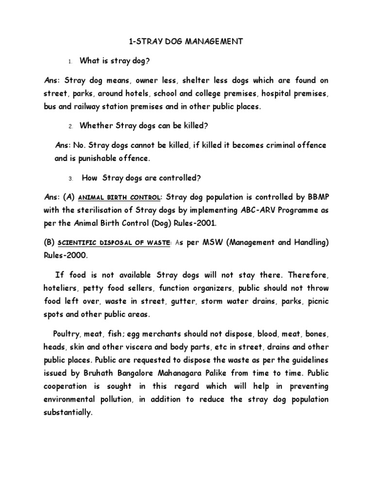 Stray Dog Management | PDF | Rabies | Dogs