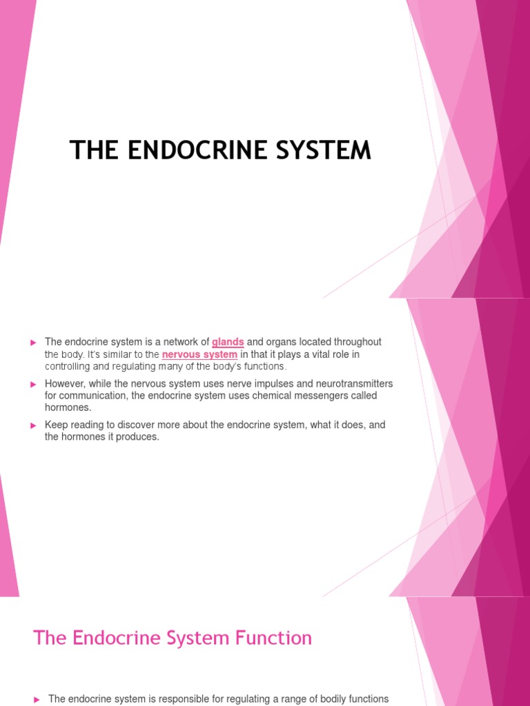 The Endocrine System | PDF | Endocrine System | Hormone