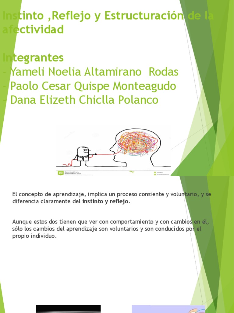 Grupo 12 - Instintos y Reflejos | PDF