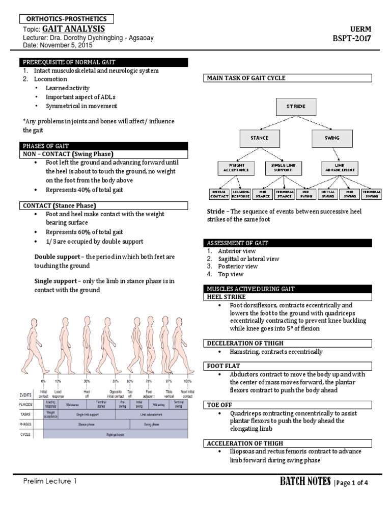 Gait Analysis: Prerequisite of Normal Gait | PDF | Foot | Anatomical ...