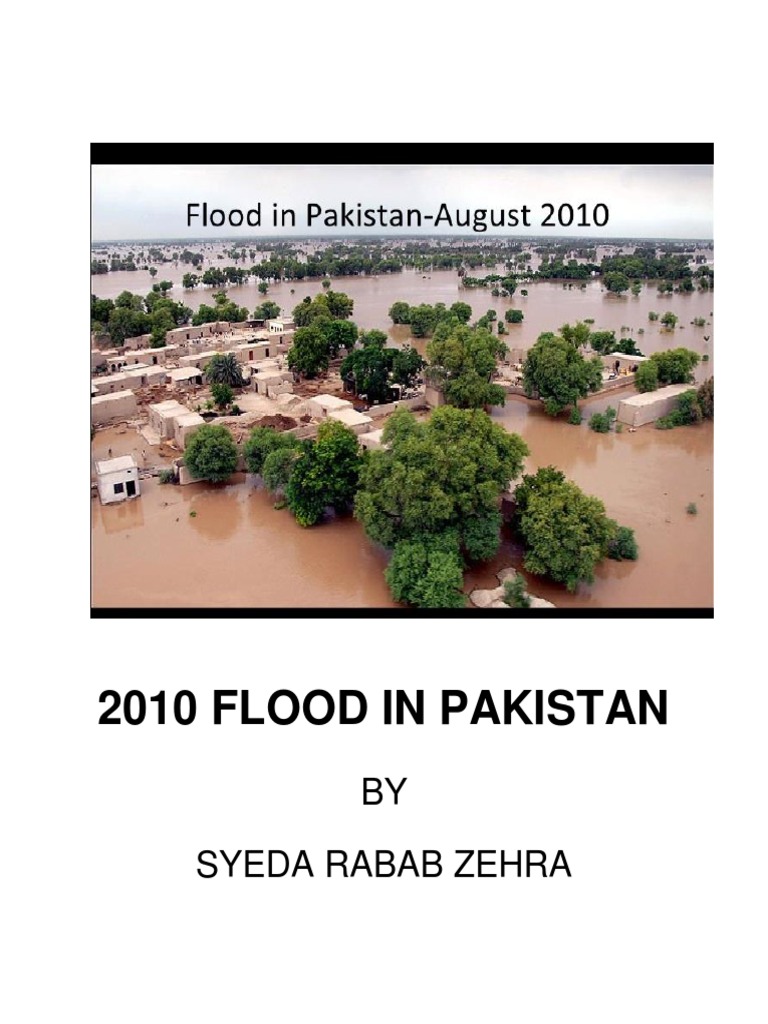 Research Report PDF | PDF | Natural Disasters | Natural Hazards