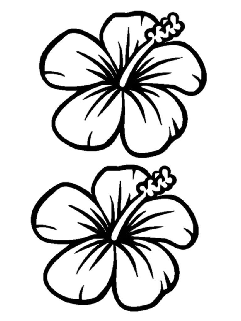 Bunga Raya Black And White