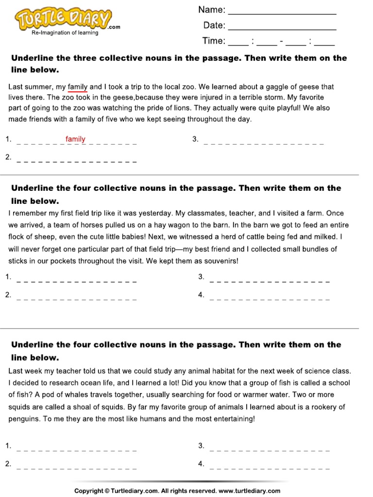 Identify Collective Nouns in The Passage | PDF
