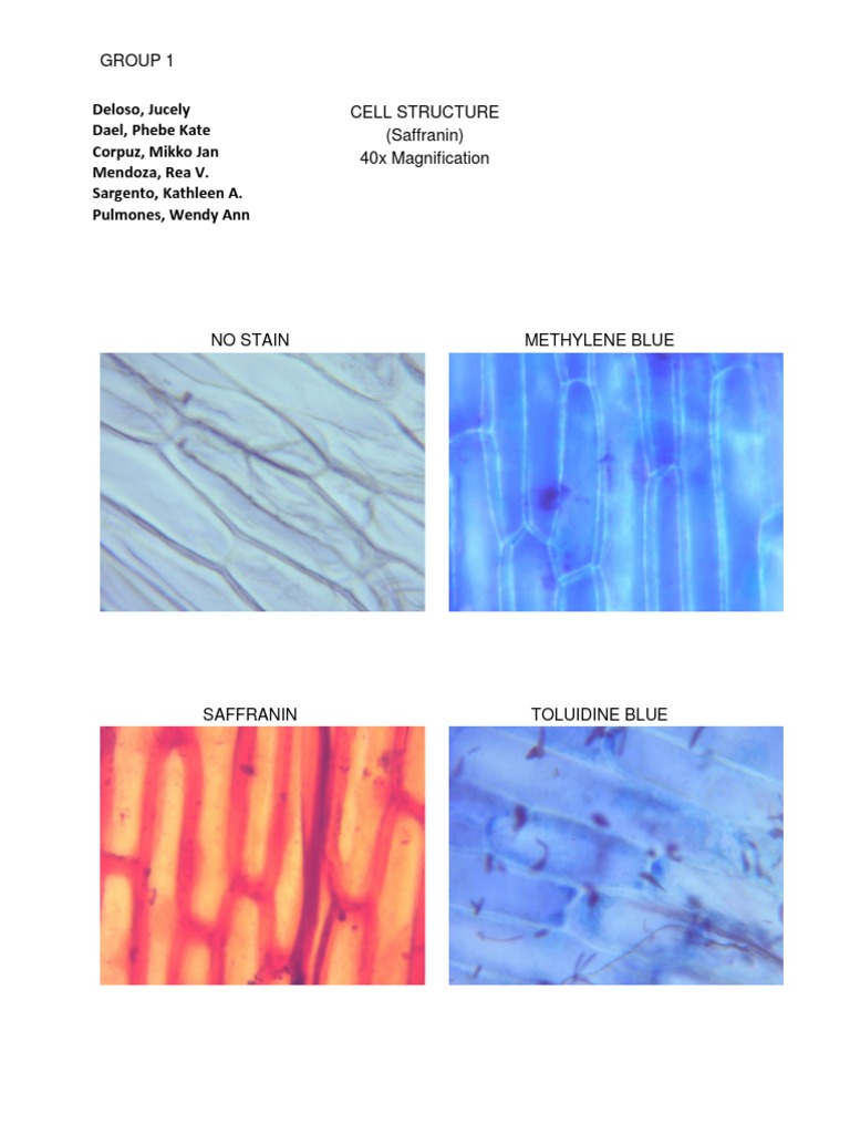 Deloso, Jucely Dael, Phebe Kate Corpuz, Mikko Jan Mendoza, Rea V ...