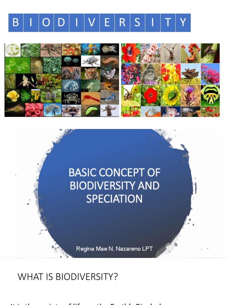 Biodiversity and Speciation Basics | PDF | Evolution | Natural Selection