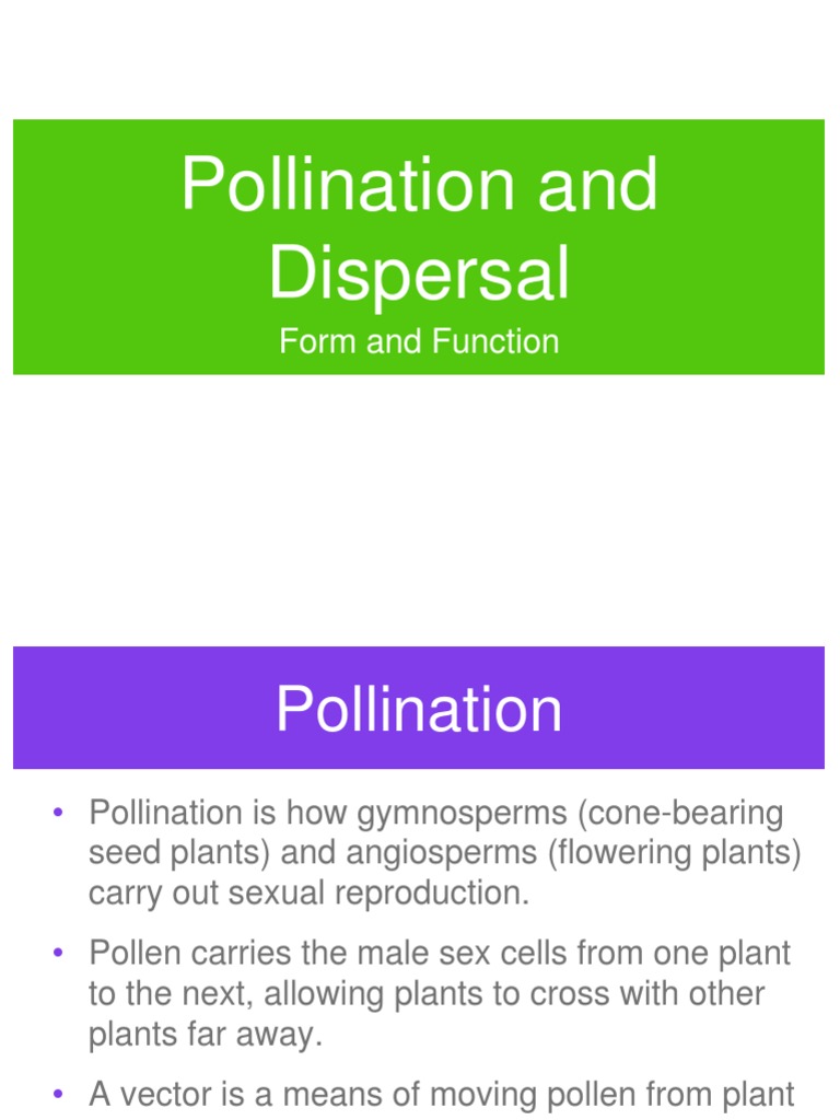 Pollination&Dispersal | PDF | Flowers | Pollination