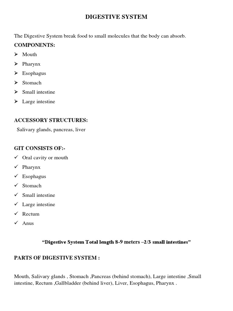 Digestive System: Components | PDF | Human Digestive System | Digestion