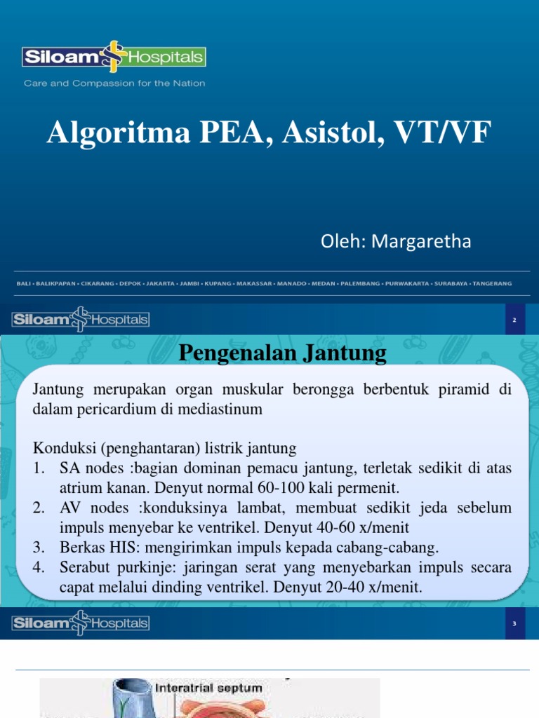 Algoritma VT dan VF dalam Elektrofisiologi | PDF | Kesehatan Holistik