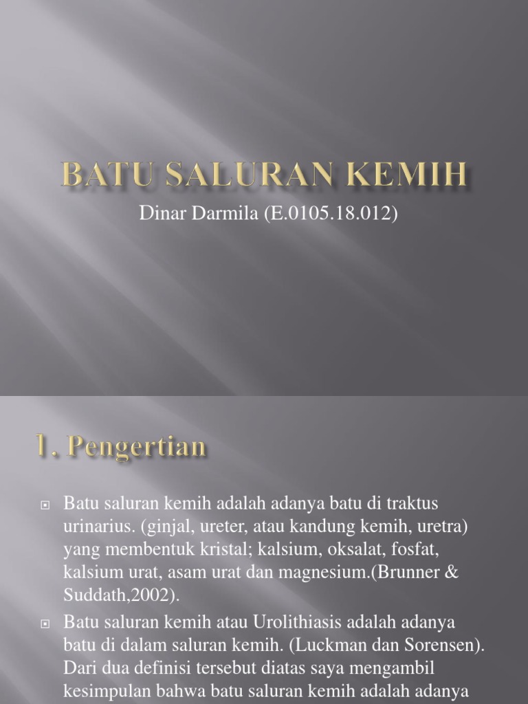 Batu Saluran Kemih | PDF