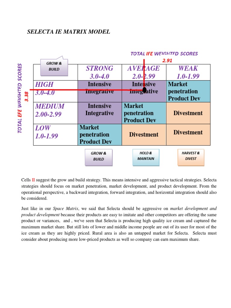 Selecta Ie Matrix Model | PDF