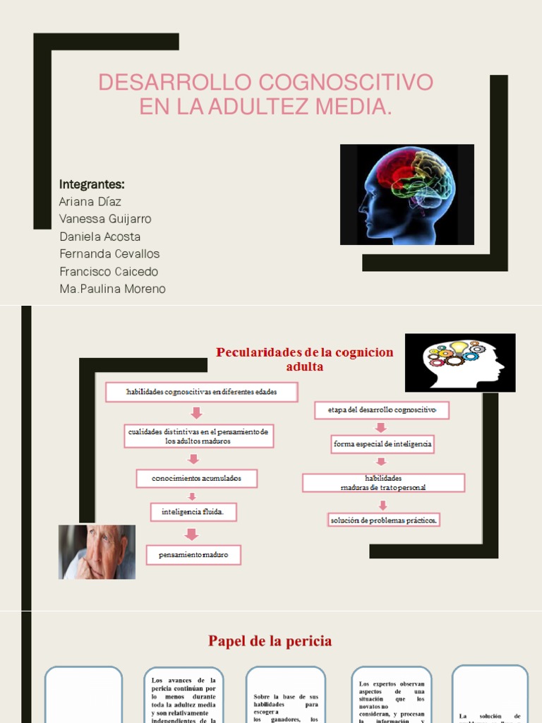 Desarrollo Cognoscitivo En La Adultez Media | Adultos | Aprendizaje