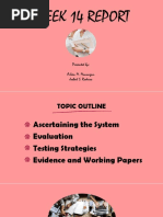 Assessment Techniques Vertical Audit | PDF