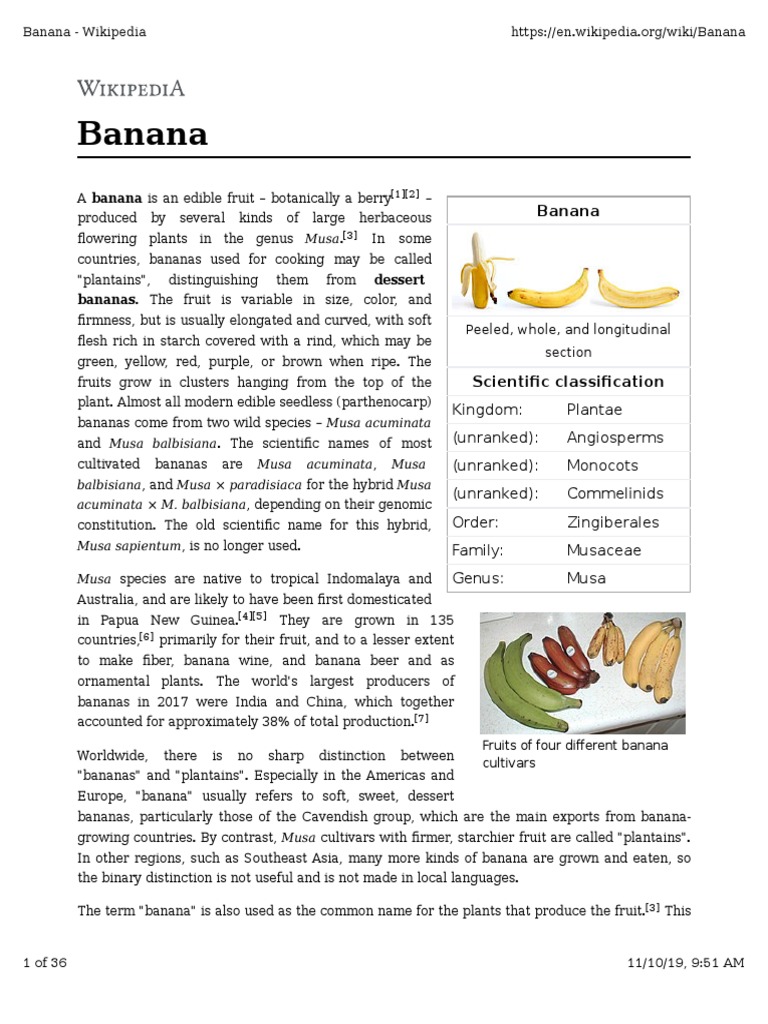 Banana | PDF | Banana | Plants