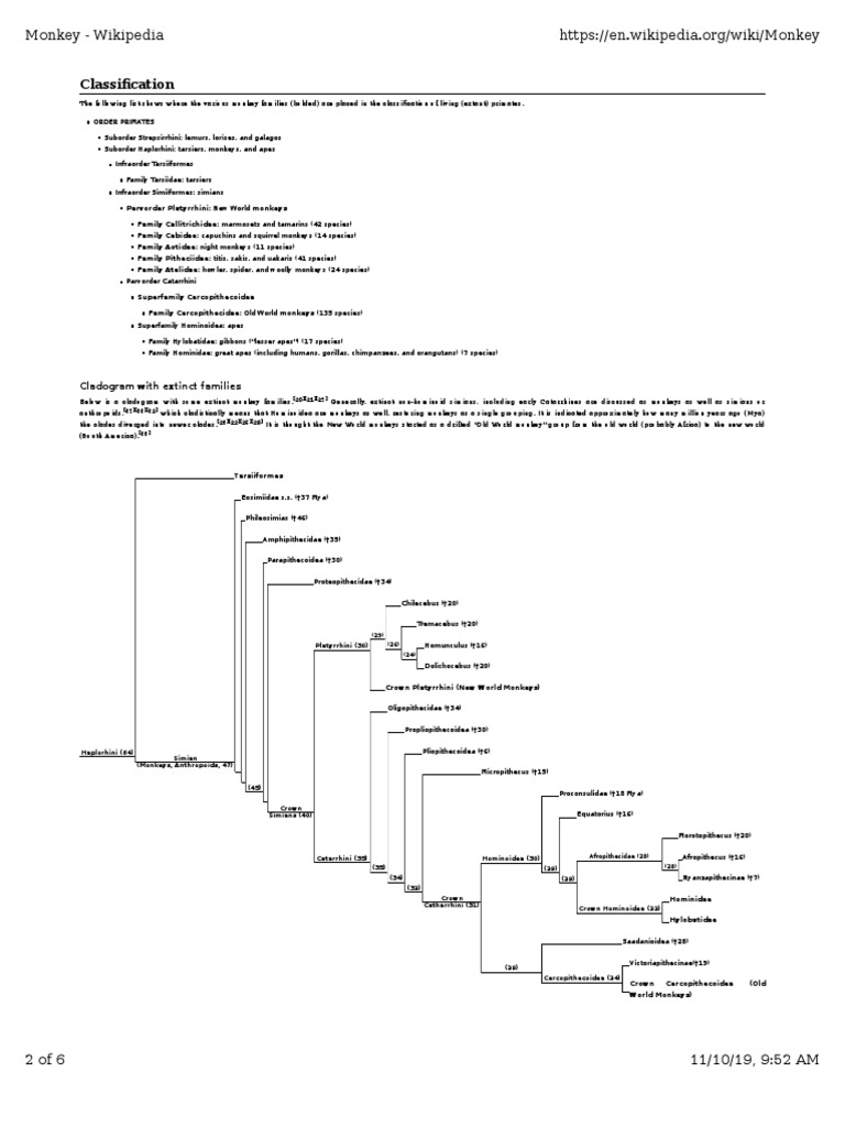 Classification: Monkey - Wikipedia | Download Free PDF | Monkey | Ape