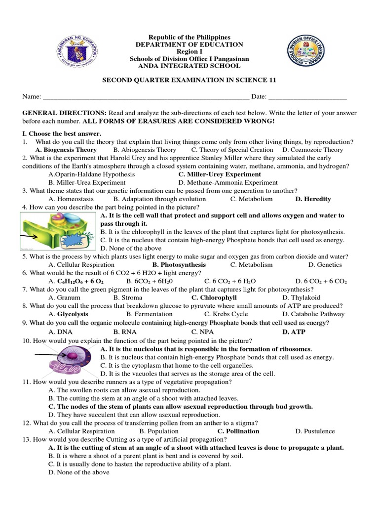 Science 11 Second Quarter Exam Guide | PDF | Dna | Cell (Biology)