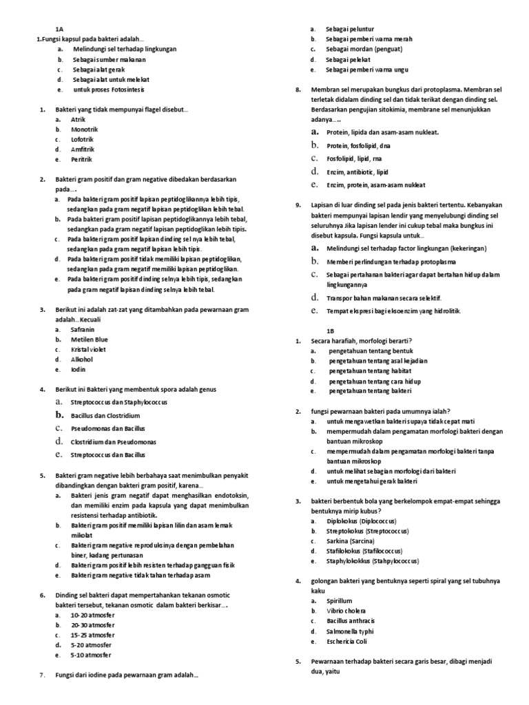Contoh Soal Soal Bakteri | PDF