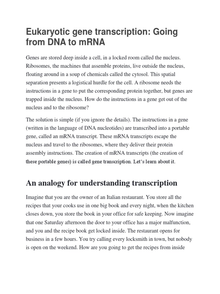 Eukaryotic Gene Transcription: Going From DNA To mRNA: An Analogy For ...