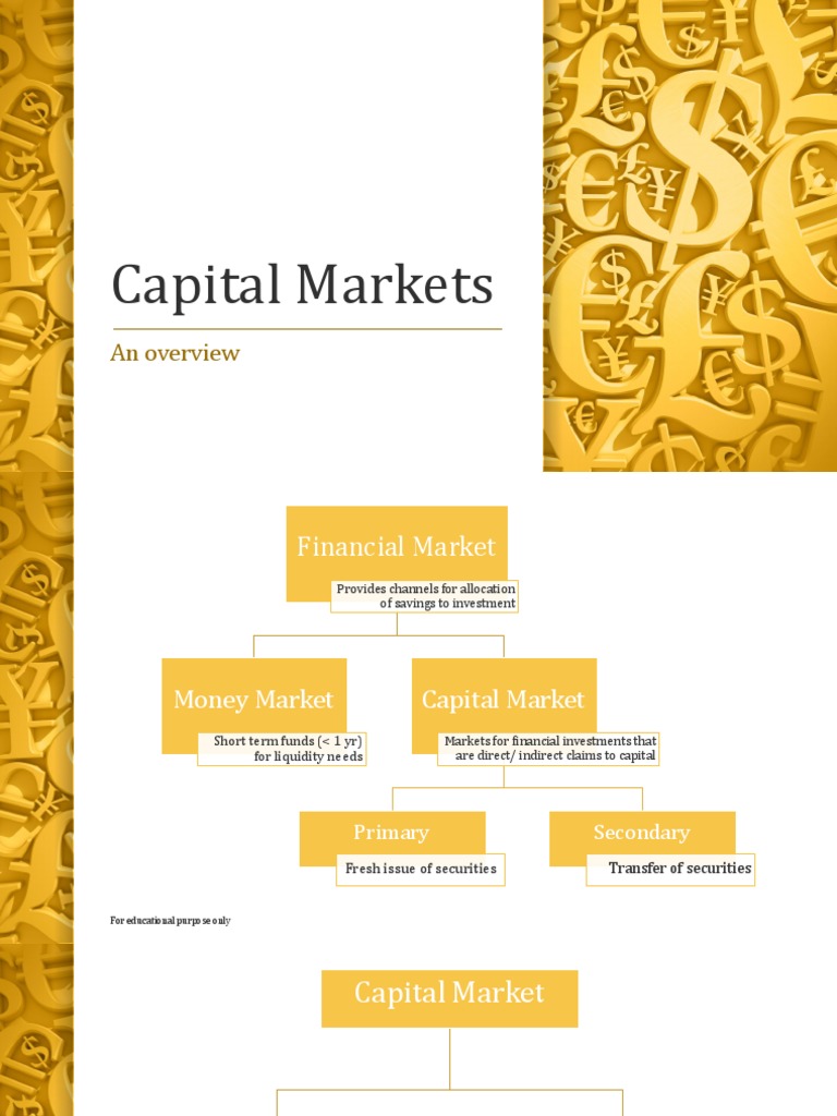 Capital Markets: An Overview | PDF | Financial Markets | Capital Market