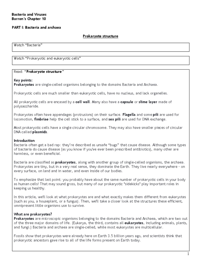 AP Biology Bacteria and Viruses | PDF | Transformation (Genetics ...