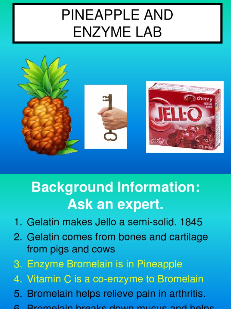 Pineapple Lab 2016 | PDF | Gelatin | Scientific Control