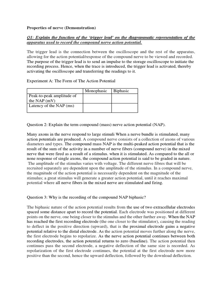 Character, Composition, Functions of Blood Word | PDF | Action ...