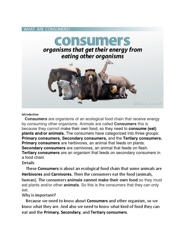 Understanding Ecological Consumers | PDF | Wellness