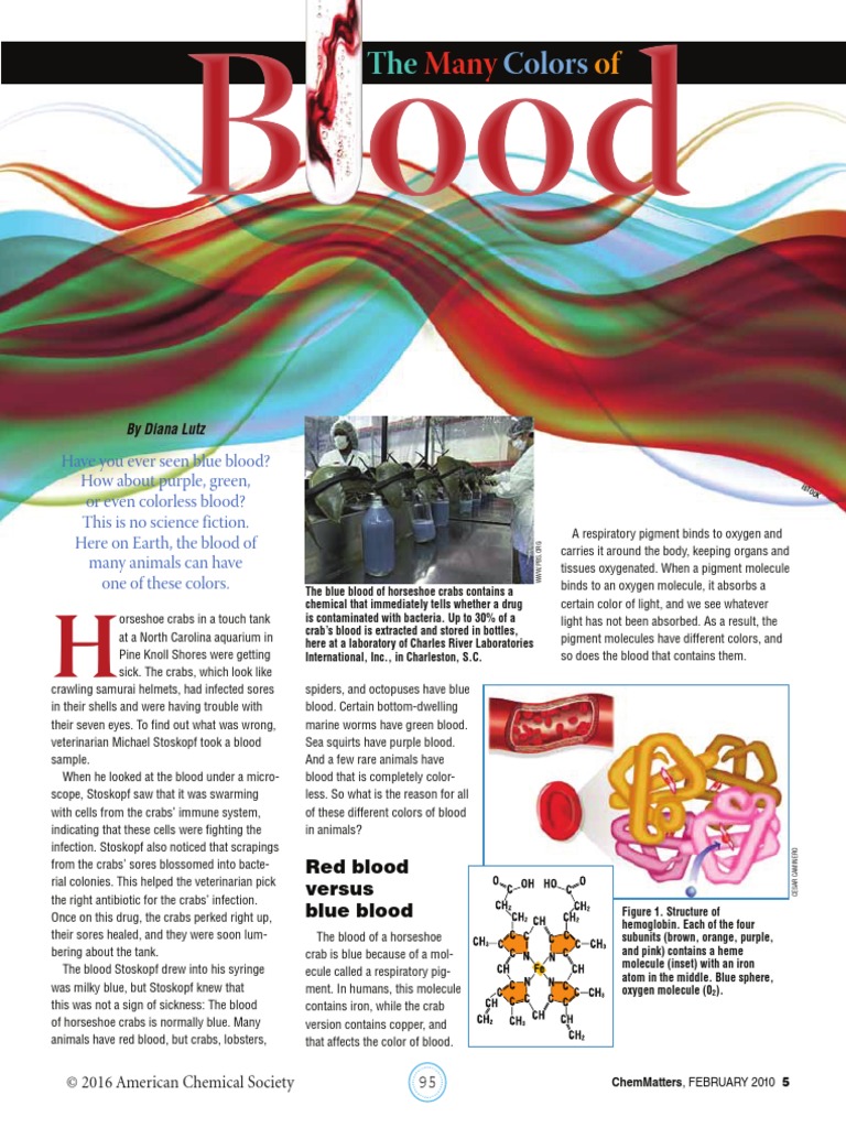 Sample Lesson Plan The Many Colors of Blood PDF | PDF | Hemoglobin | Blood