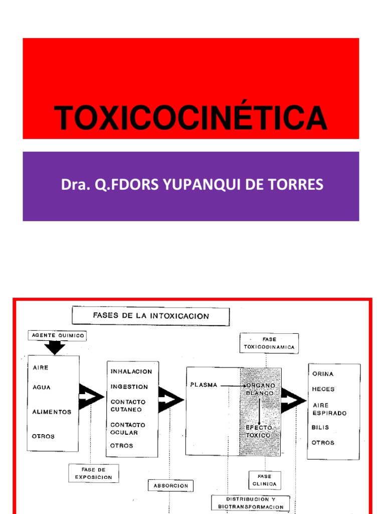 Introducción a la Toxicocinética | PDF | Biotransformación | Enzima