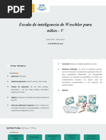 Cubos Wisc V | PDF | Cognición | Ciencia cognitiva