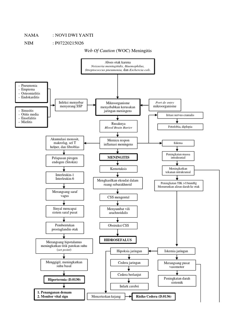 WOC Meningitis | PDF