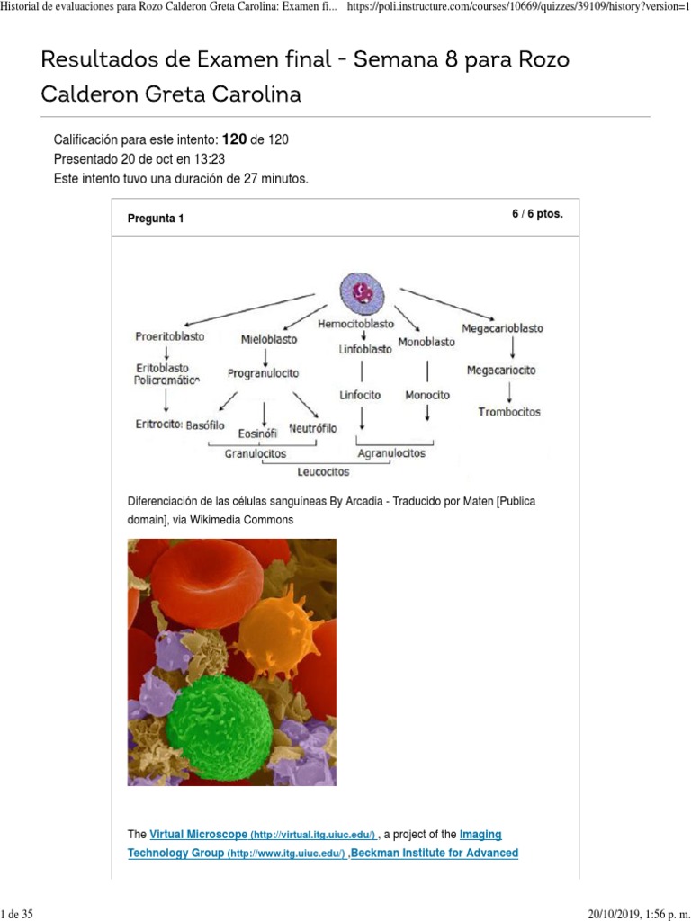 Examen Final - Semana 8 BIOLOGIA | PDF | Oído | Biología