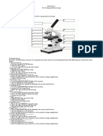 The Microscope - Summative Test | PDF