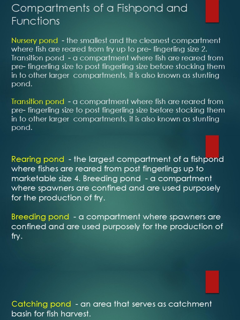 Fishpond Compartments and Functions | PDF