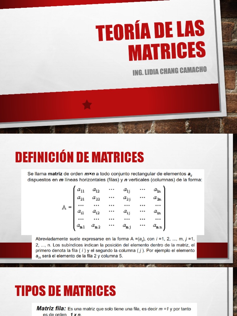Teoría de Las Matrices | PDF