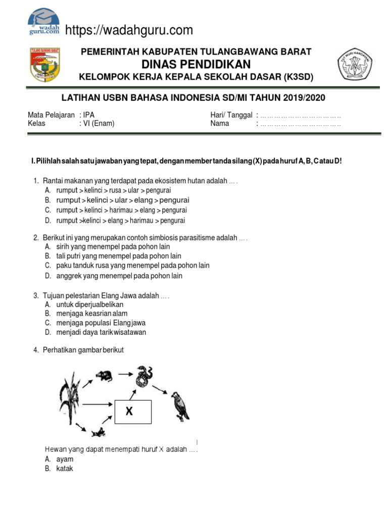 Soal Latihan USBN SD 2019.2020 IPA 1 | PDF | Ilmu Sosial