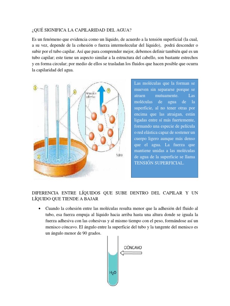 CAPILARIDAD | PDF | Tensión superficial | Líquidos